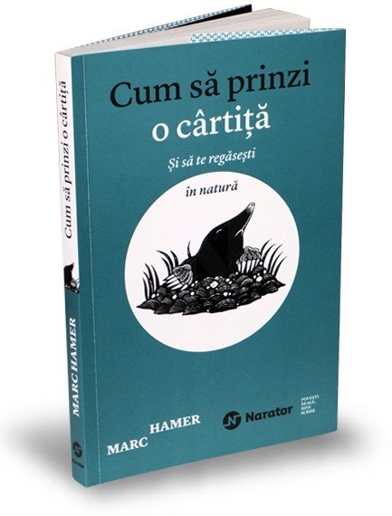 20+ cărți interesante de citit pentru o vacanță de poveste - Cărturești