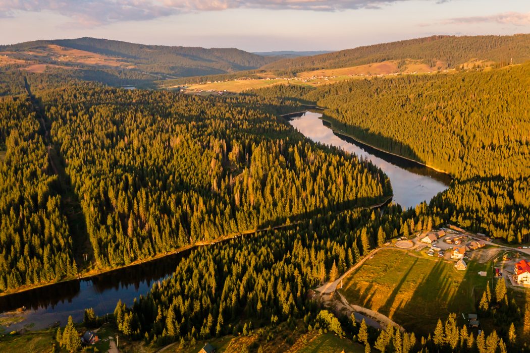 Cinci motive pentru care nu poți rata Smida Jazz Festival - Blog Carturesti